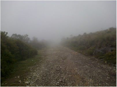 El Tablazo: Actividad Salida Ecológica: El Tablazo
