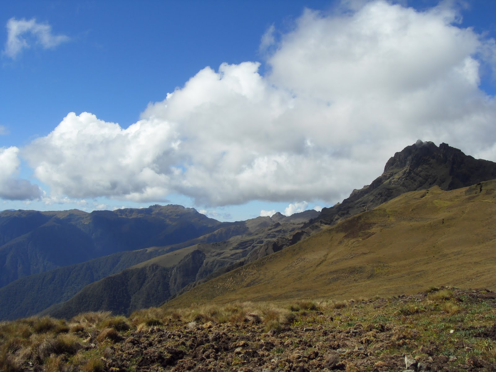 Brisbane to Barcelona: Yunga Cruz Trek