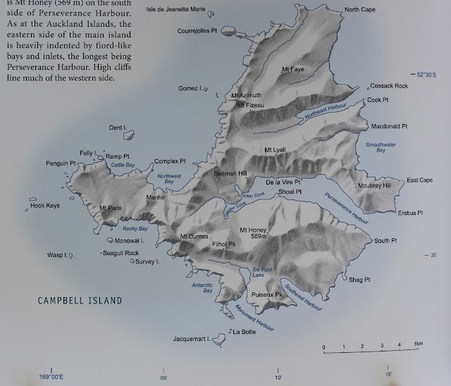 Heading South: Southern Royal Happy Hour at Campbell Island, 3:30pm