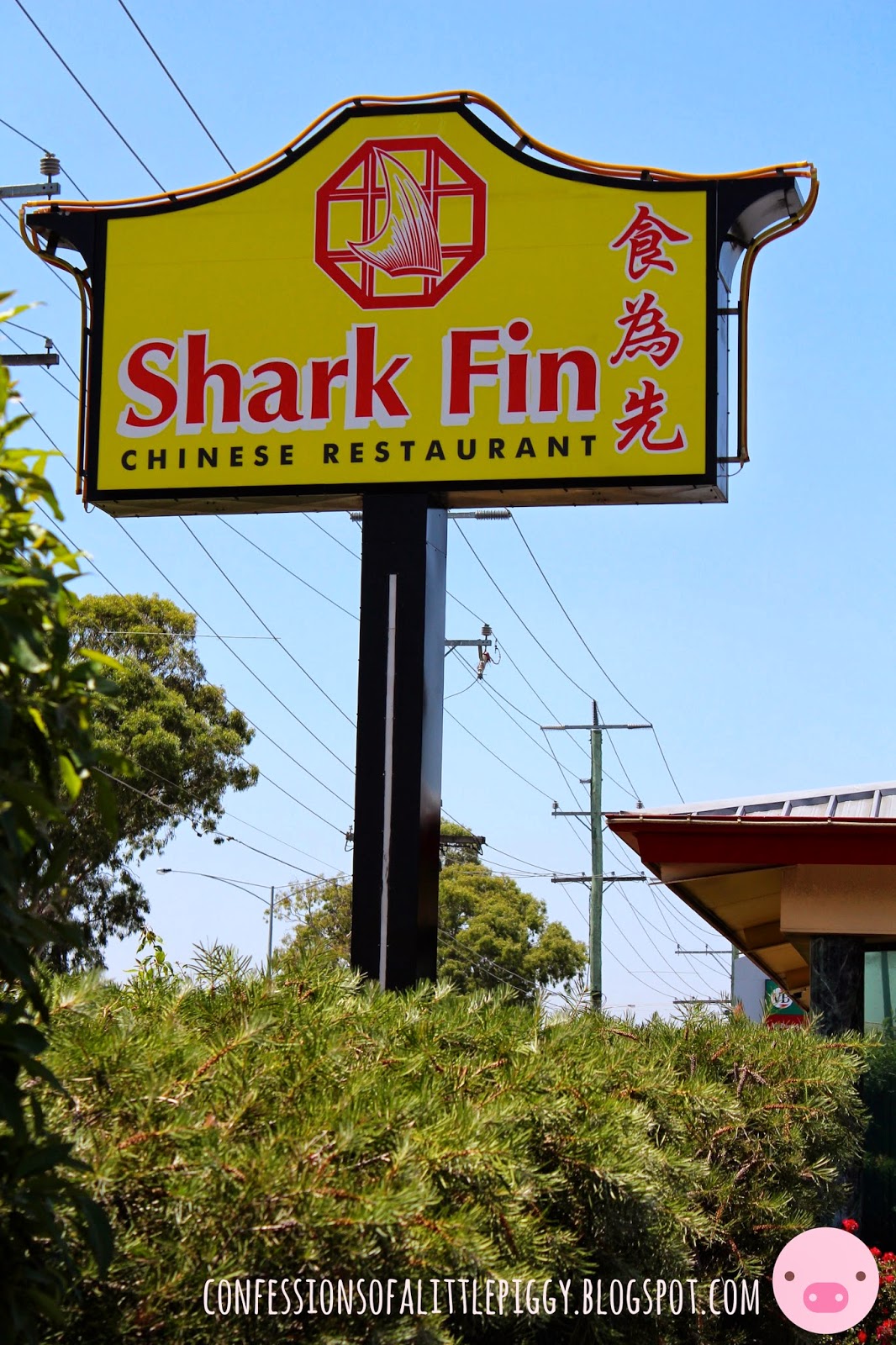 Shark Fin Chinese Restaurant ~ confessions of a little piggy