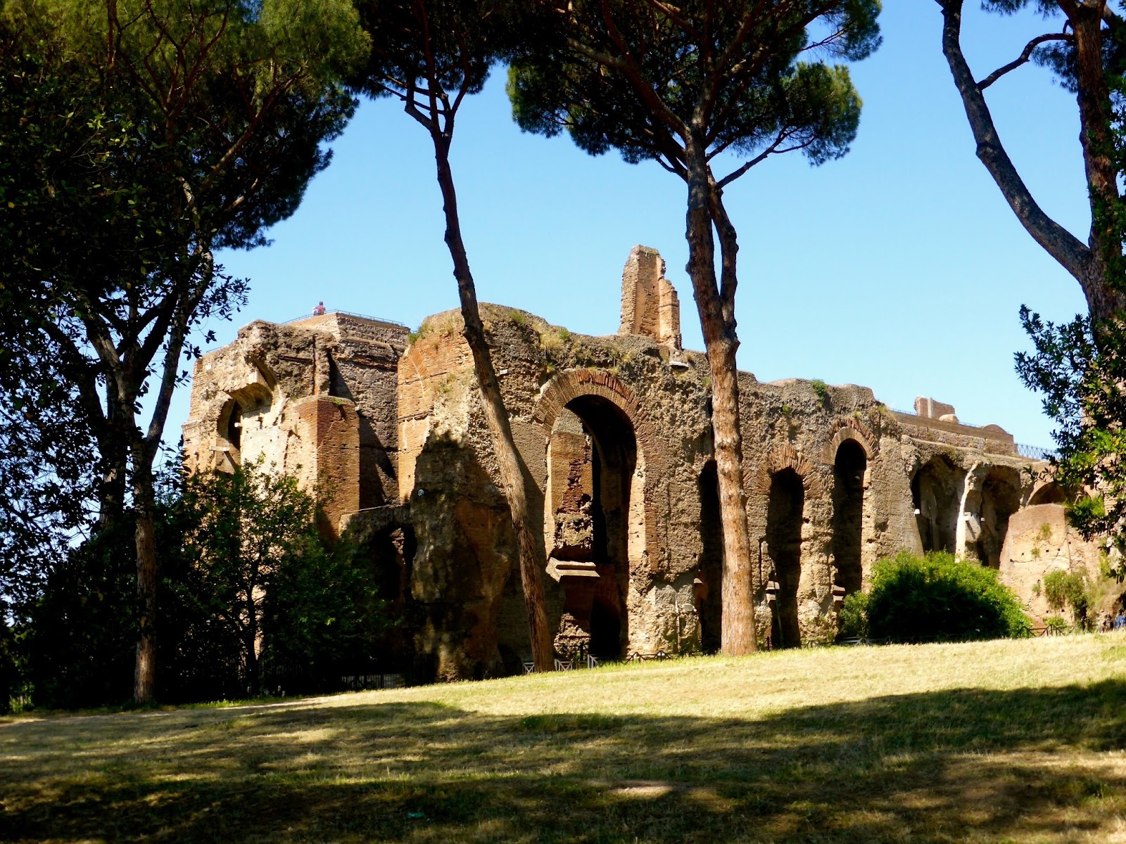 Facciamo un giro in centro?: PALATINO
