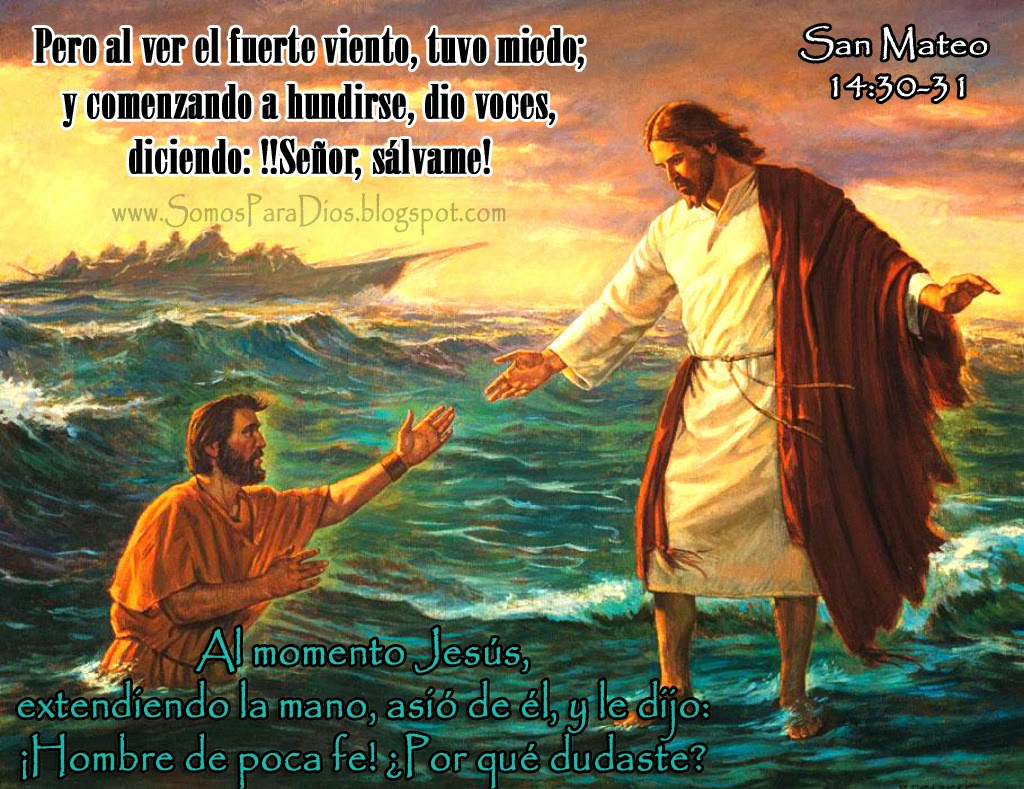 Camina con la mirada en Jesús - Mi juventud para Dios