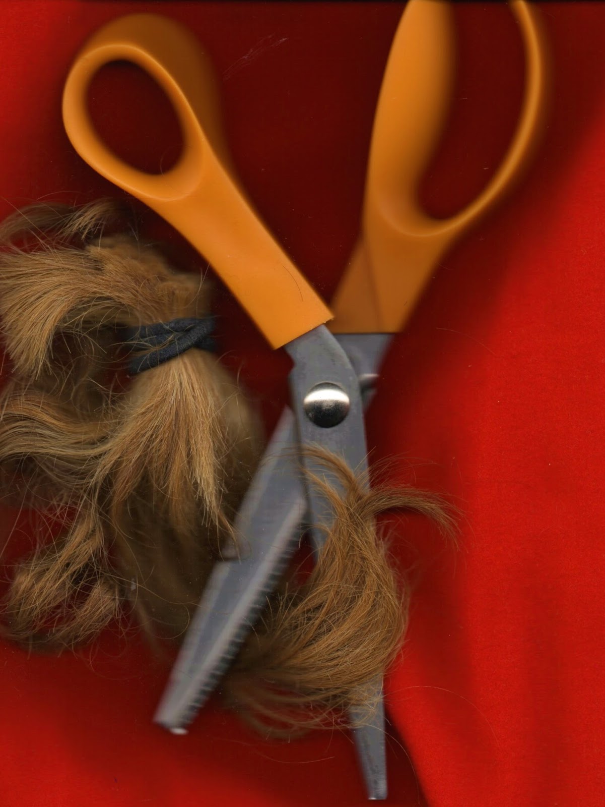 sewing susan: Pinking Shears