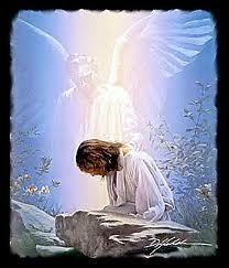 Gracia y Paz de Dios: EL ÁNGEL DEL SEÑOR