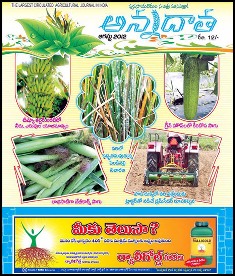 TELUGU WEB WORLD: Annadata August 2012,
