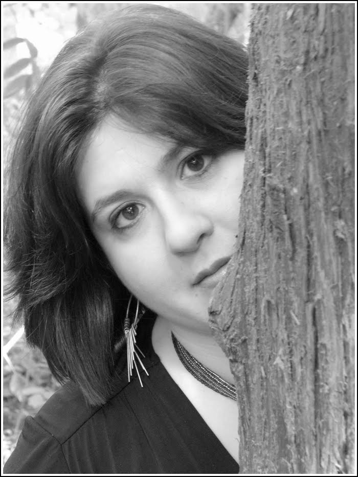 Arte literario: Wildcat fireflies, Amber Kizer