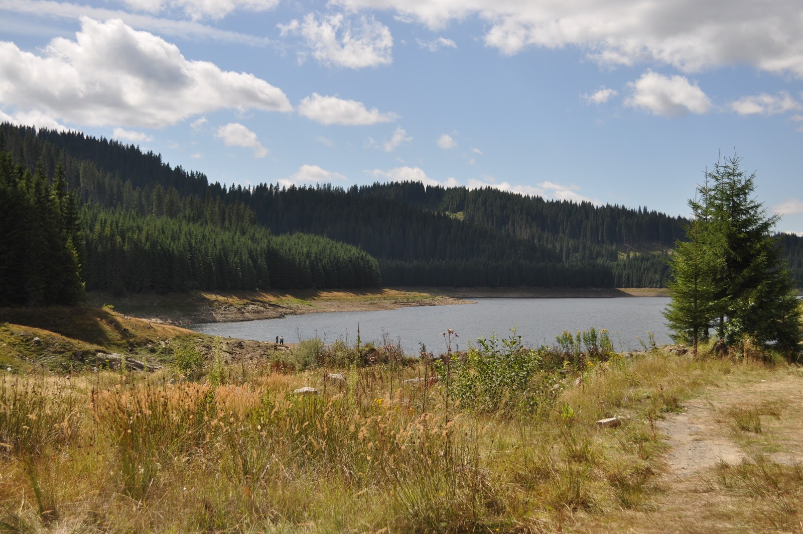 Poze, Natura, Animale, Plante, Romania, Valcea, Ionut Ungureanu