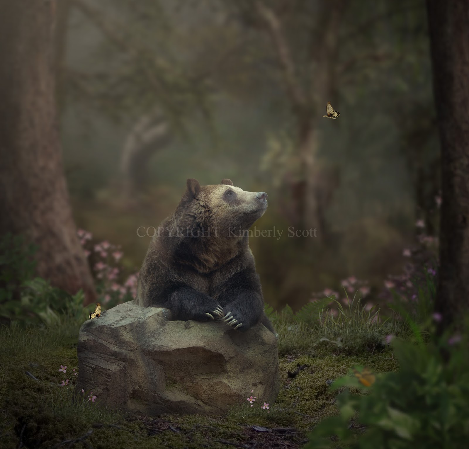 Photographers Unleashed "Official Site"