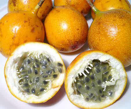 Mengenal Buah Markisa ~ Agribisnis