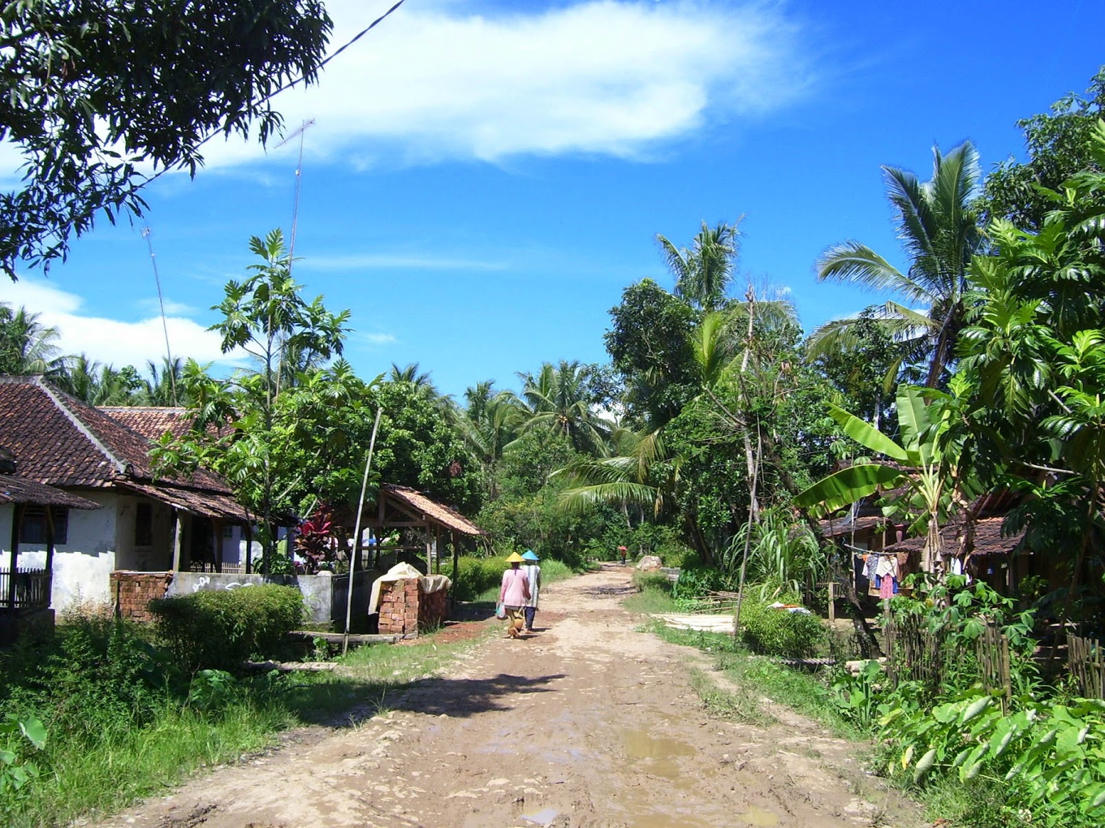 Jualan Apa Yang Paling Laku Di Kampung