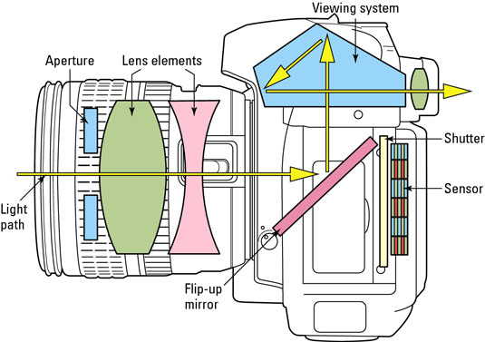 Camera USA: Learn the difference between a DSLR camera and campact And ...