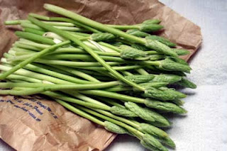 Gourmet Foragables: How to find and cook with wild edibles: Wild Spring ...