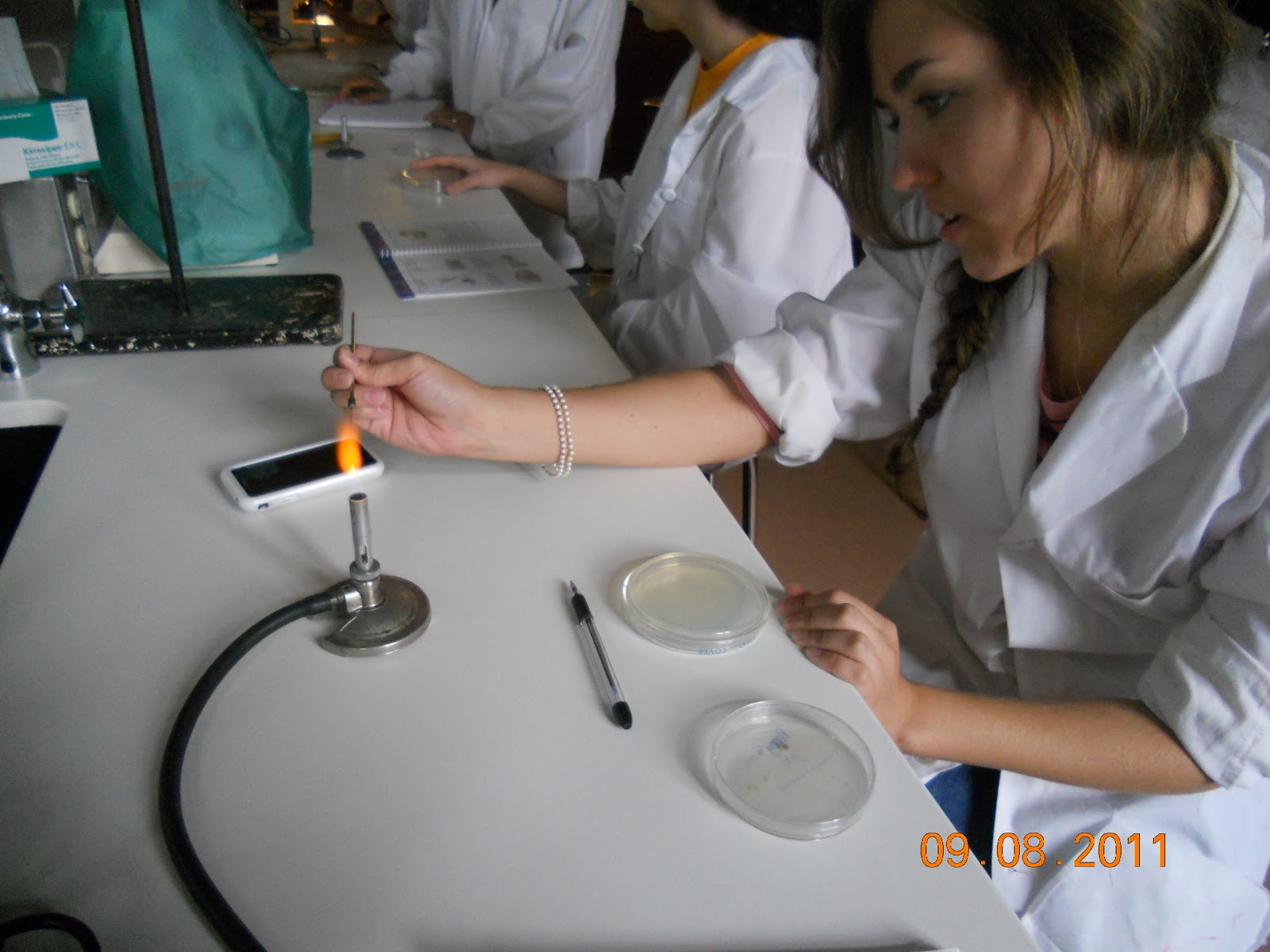 Franciscan University BIO 217 Microbiology Lab