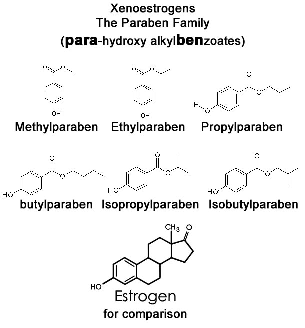 PARABEN: Fungsi, Jenis dan Bahayanya | chaBAGUS