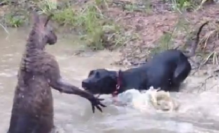 INTERESTING THINGS: Drowning Facts