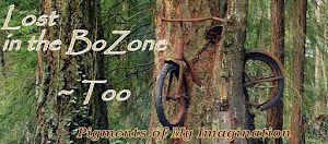 Lost in the Bozone: July 2020