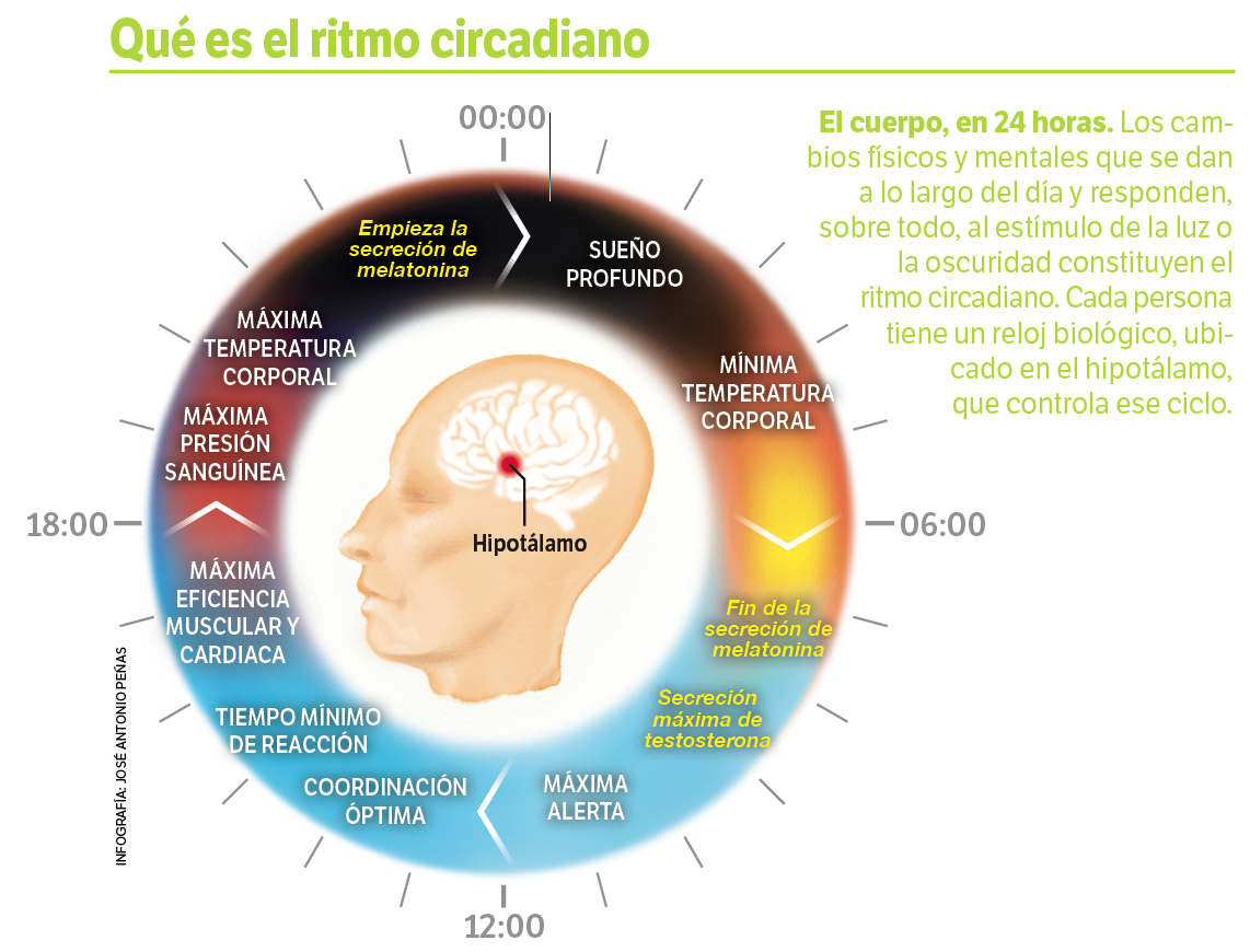 Tapas de Ciencia: Cómo los ritmos circadianos marcan nuestra vida