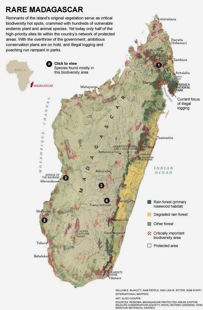 Madagascar Rain Forests: Madagascar Rain Forests Map