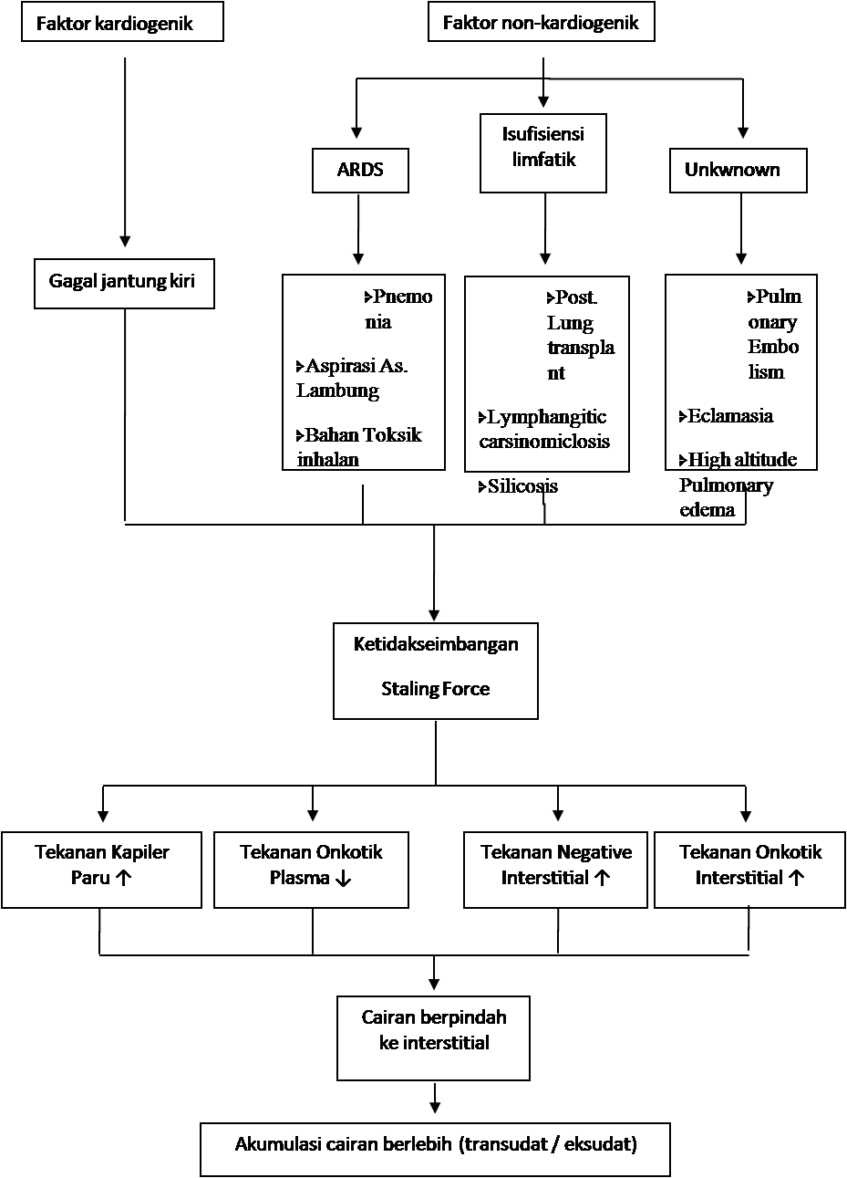 Health Educations: ASKEP EDEMA PARU