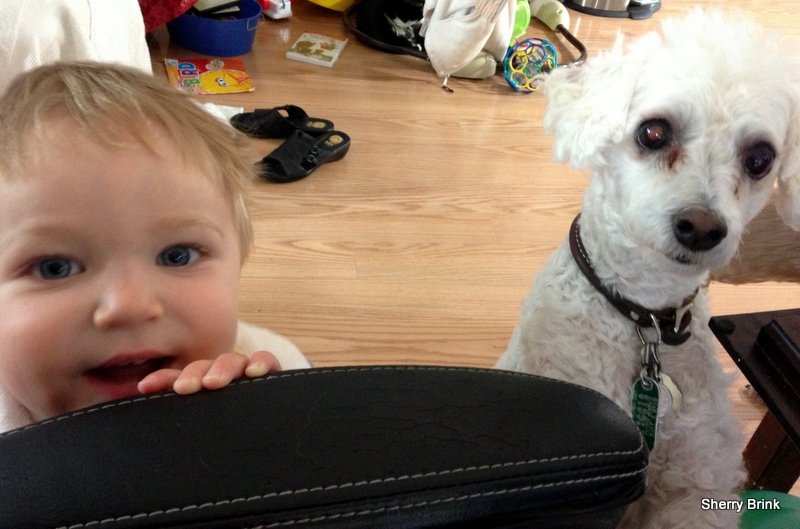 Sherry Brink's Family History - Free Memories: Sherry's photos