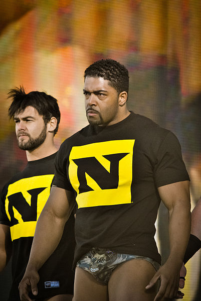 WORLD WRESTLING ENTERTAINMENT: WWE Top Wrestlers And Their Lists,All ...