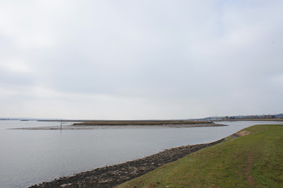 A British Island Adventure: Essex - day 4: Bridgemarsh Island