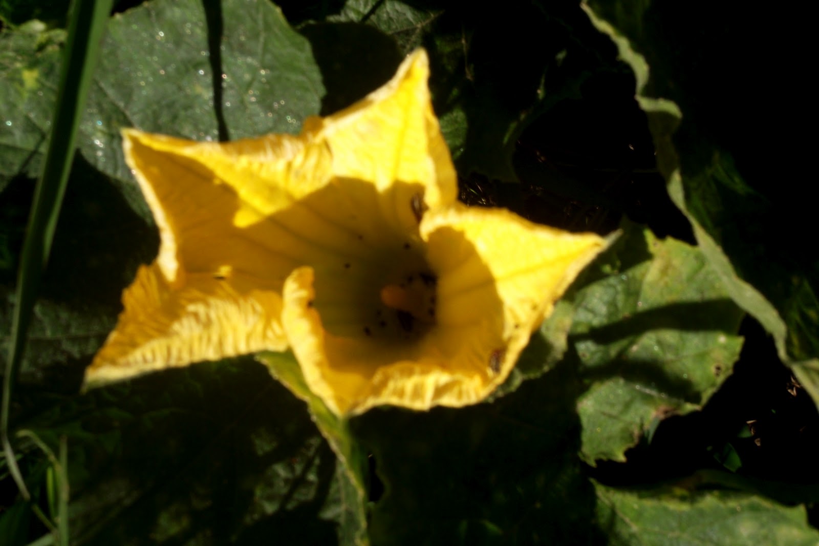 Refazendo Tudo Direitinho : 2012