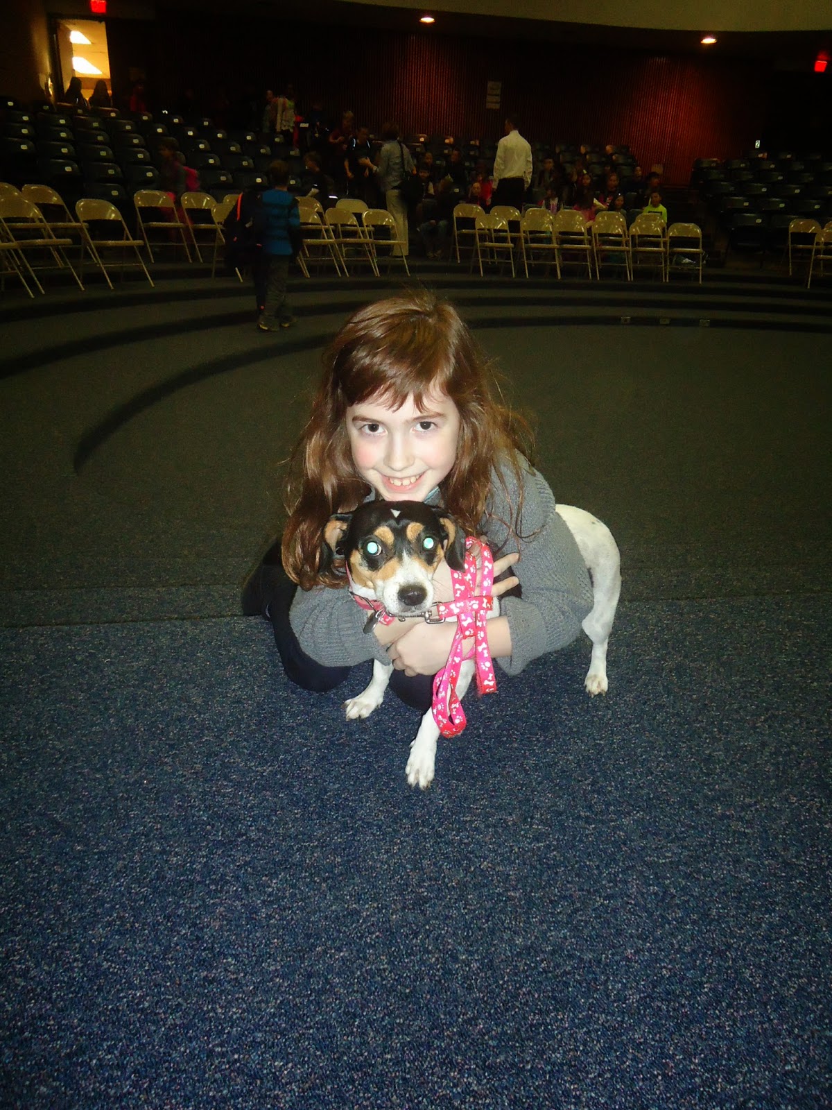 London's Pet Food Drive