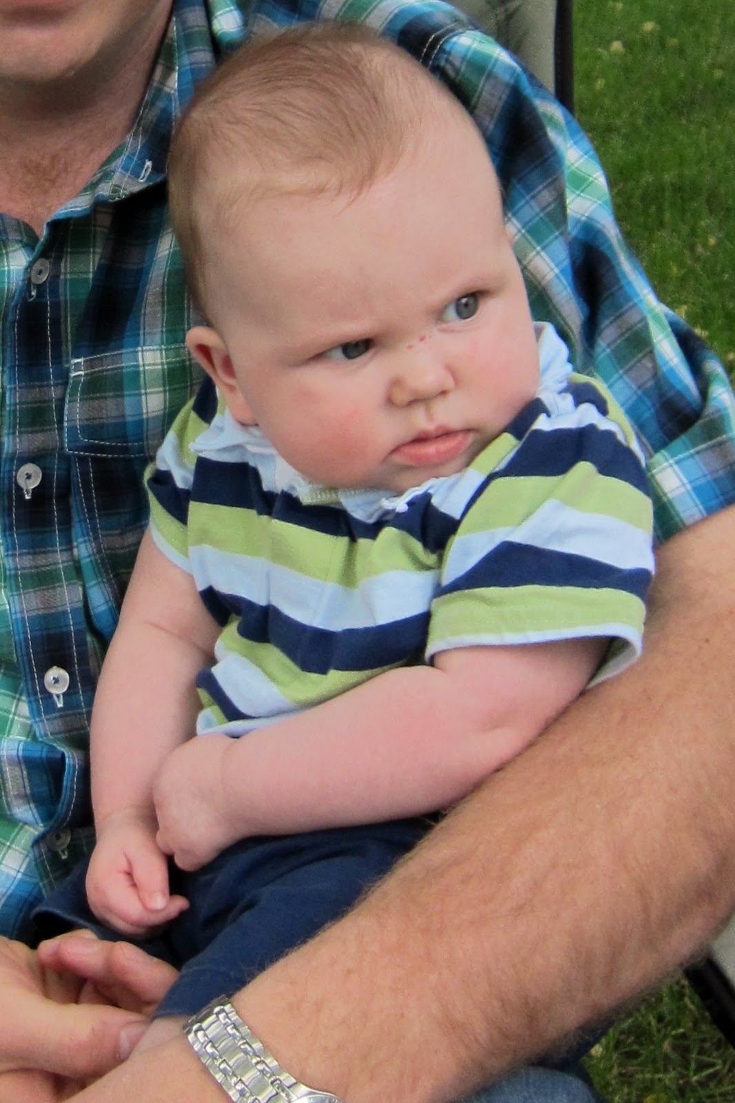 One Little Woman: Evil baby glare-off tournament