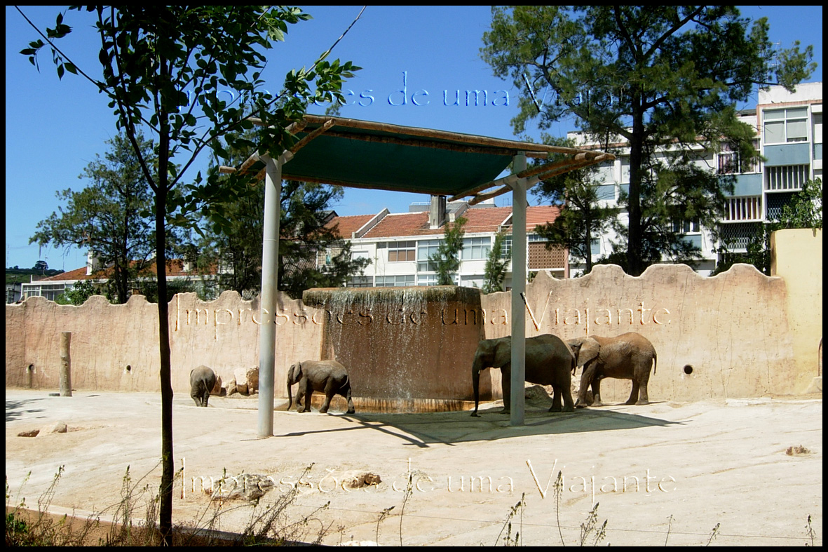 Impressões de uma Viajante