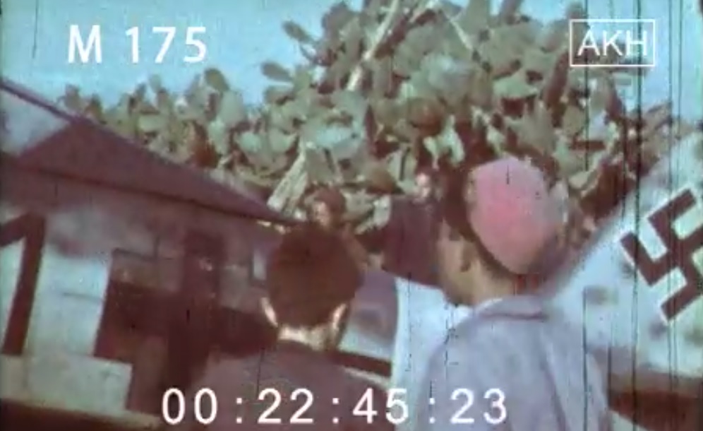 FalkeEins - the Luftwaffe blog: Fw 190 II./JG 2 in Tunisia (2) "Black 1 ...