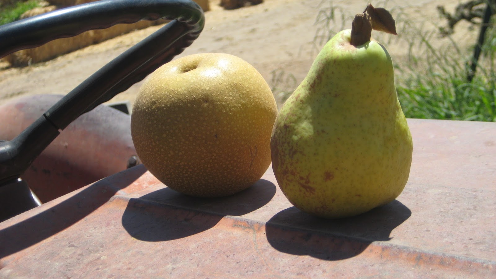 Otow Orchard Fruit Stand: 2017