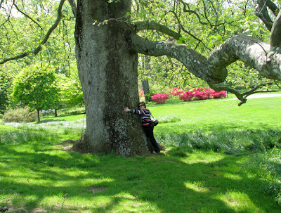 The Village Carpenter: May 9, 2011