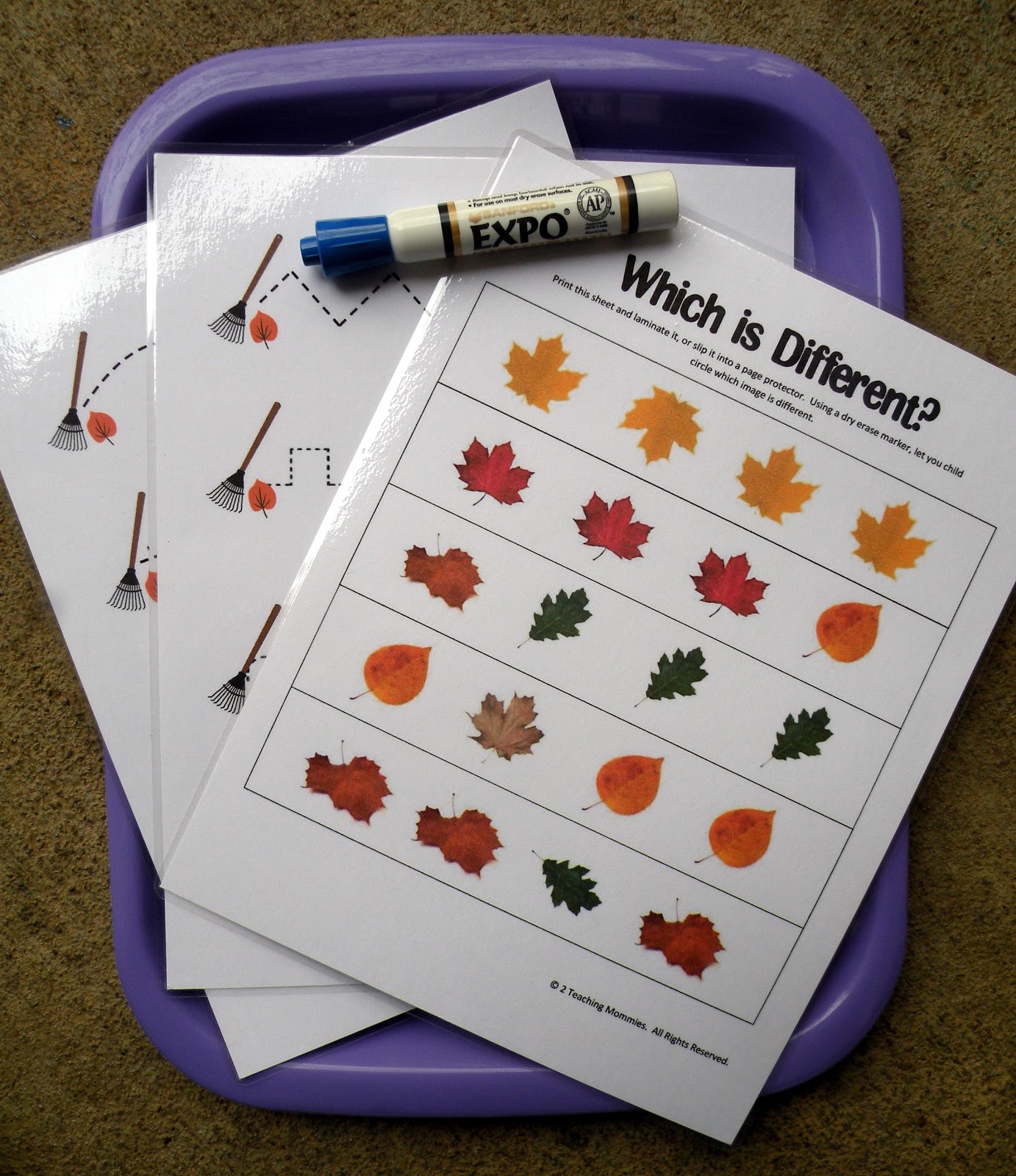 The Fantastic Five: Fall and Thanksgiving Tot Trays and Activities