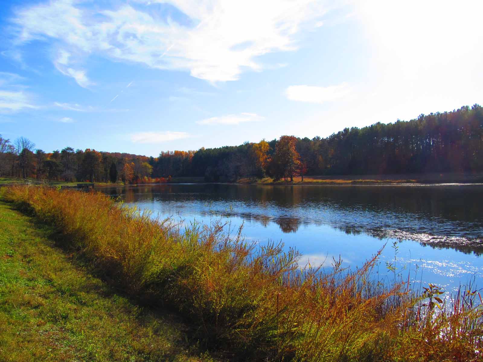 Summit Musings: Watery Wednesday - Lake Views in Bernheim Forest