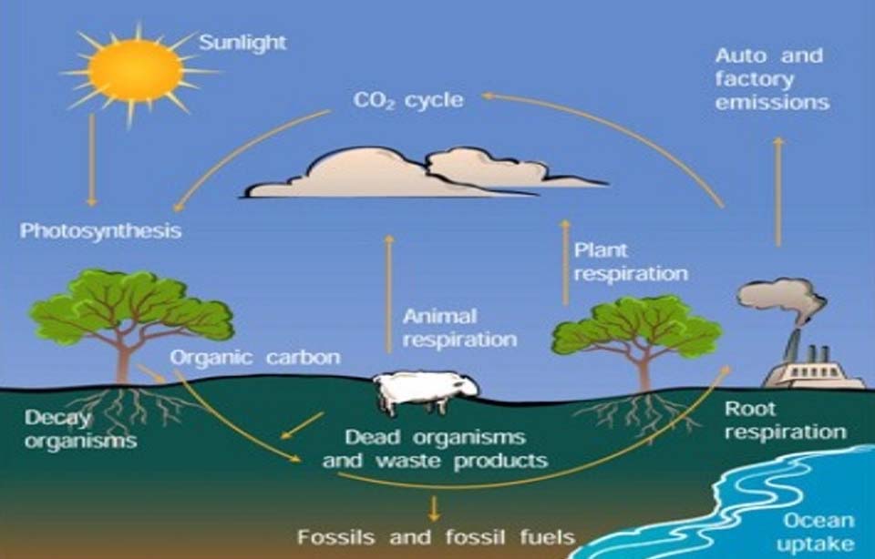 data ismi riyani: gambara siklus hidrologi, sulfur, nitrogen, oksigen ...
