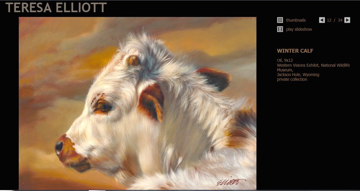 The Field Lab: Teresa Elliott