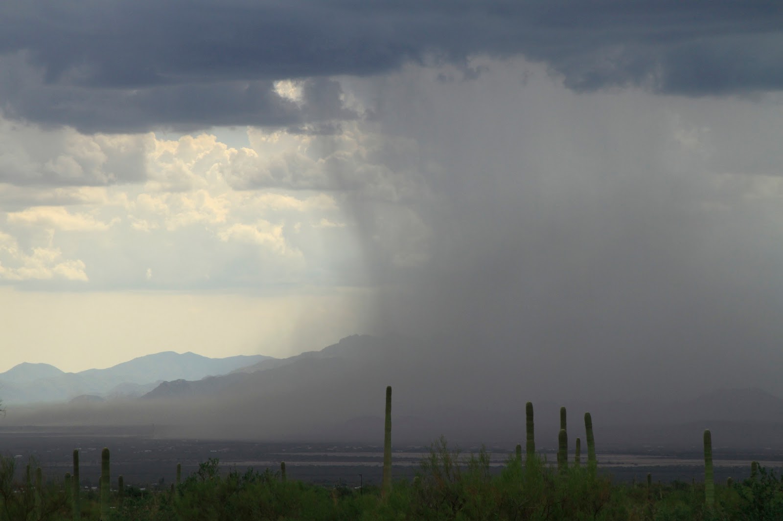 Sonoran Connection: Anatomy of Two Arizona Storms