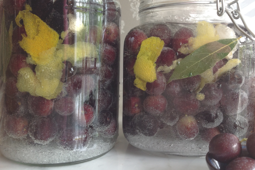 RECIPE FOR CURING OLIVES / the creative muster