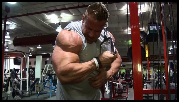 Arm Session Last Night At Golds Gym Flamingo,Near The Vegas Strip 2011 ...