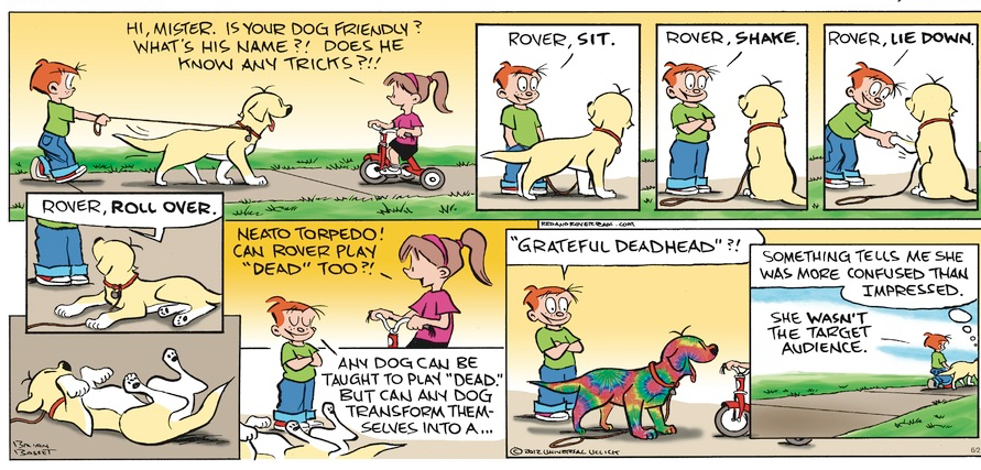 Finding Beauty in Ephemera: The Grateful Red and Rover