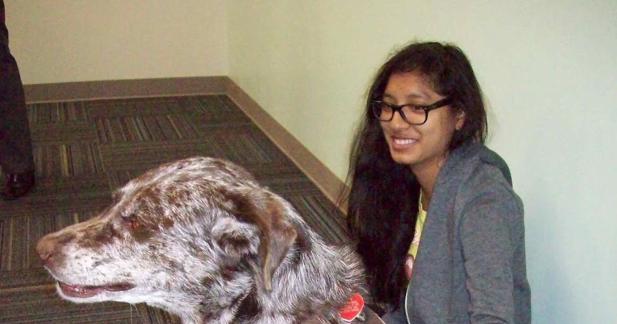 GSW Psychology/Sociology News: Psychology/Sociology Club: Therapy dogs