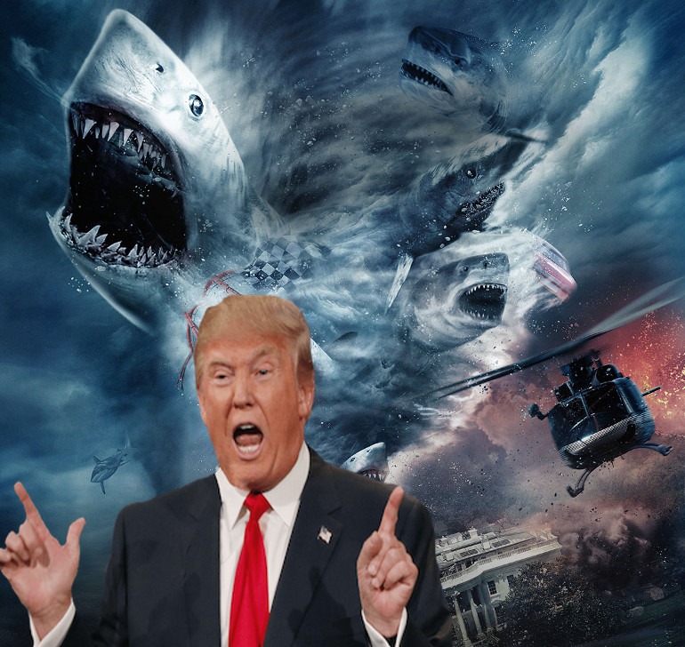 Trump Says Media Covers Up Terror Attacks, Cites Shark Infested ...