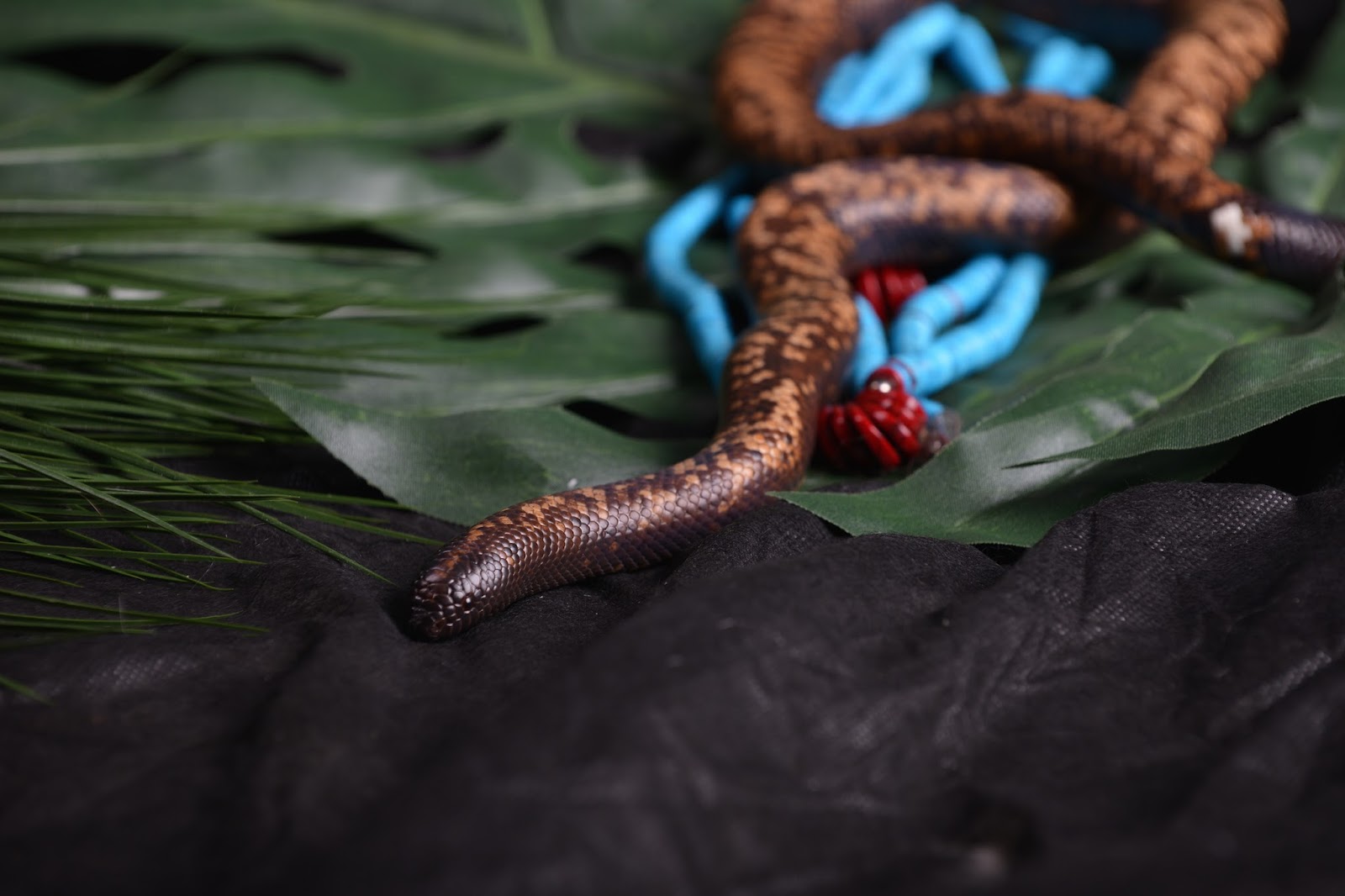 The ZooCrew Projects