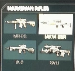 Call Of Duty Ghosts Marksman Rifles Names