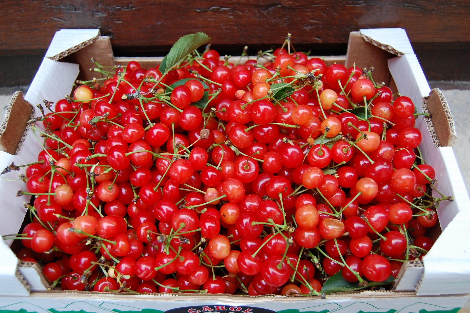 Agroturismo Arkaia: Guindas