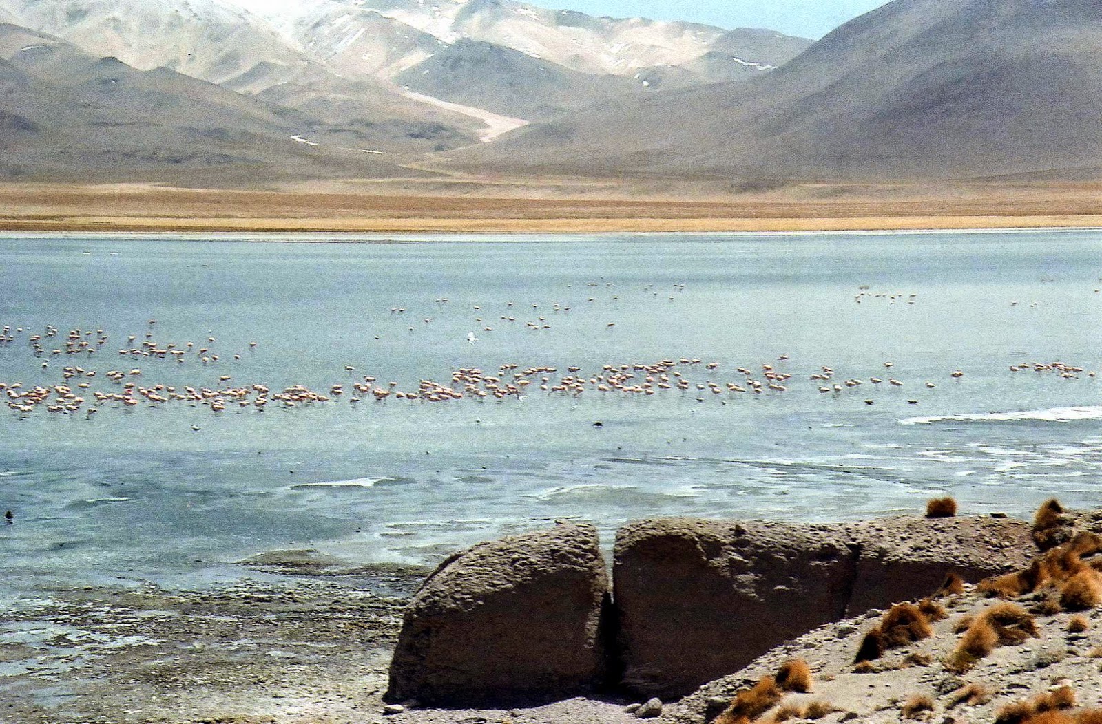 CERCANORTE: El Lejano Oeste, El Toro, Rosario de Coyaguayma, Vilama ...