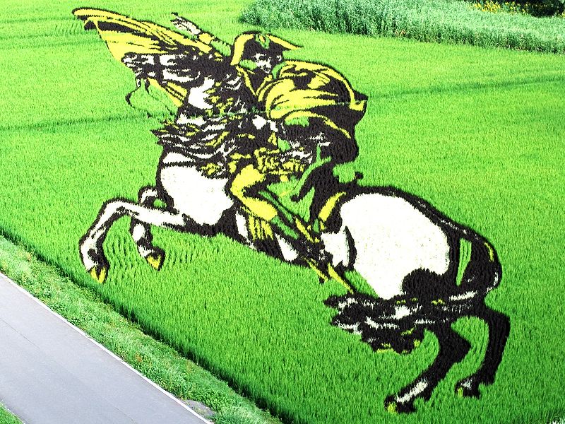 Rice Paddy Art Designing Techniques | Designing Techniques