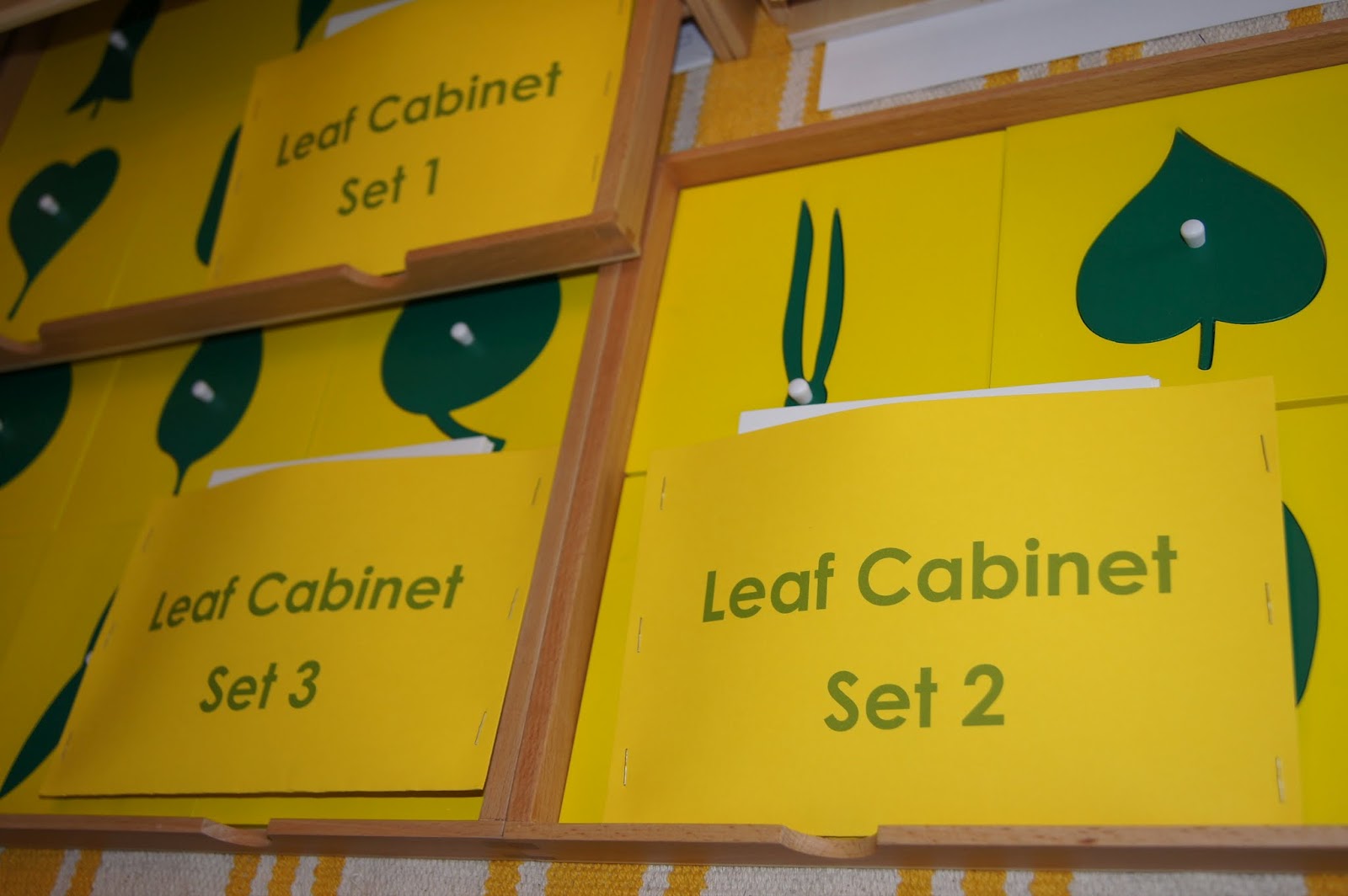 Montessori Leaf Cabinet, Montessori Botany At Home Part 2 - "Making ...