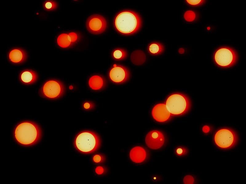 Vane Edition's: Texturas De Luces